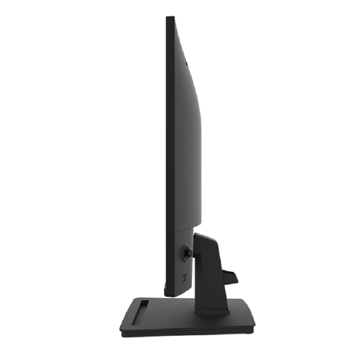 Bass Computers, Inc. - Pro MP252 - MSI 24.5 LED 100HZ 1MS H