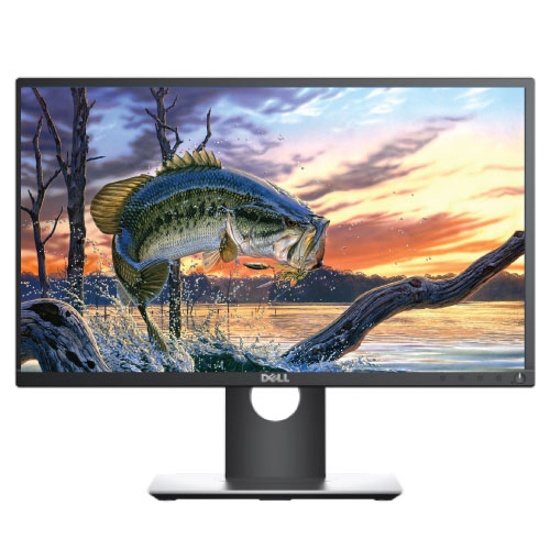 Bass Computers, Inc. - P2217H - Dell 22" Widescreen Class A VGA,DP,HDMI
